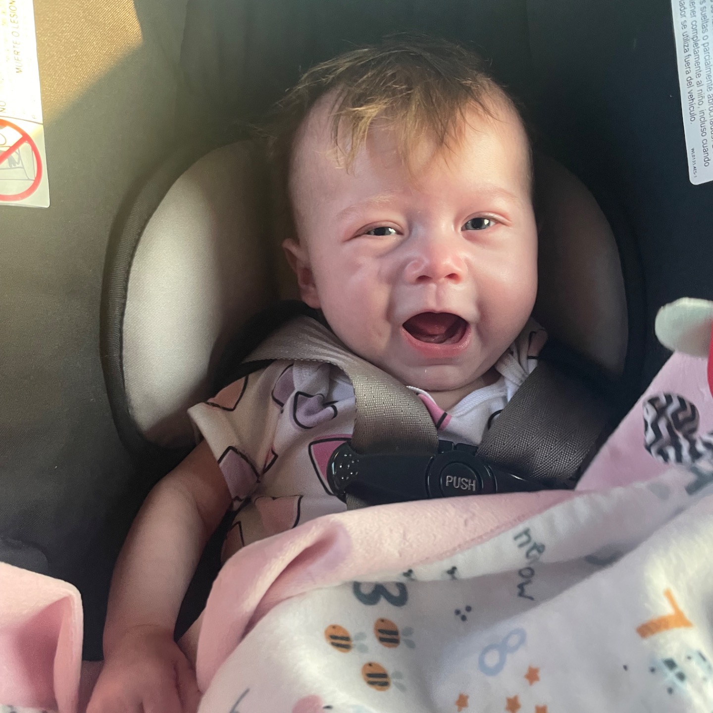 Kaylen’s TGA Journey - Give InKind