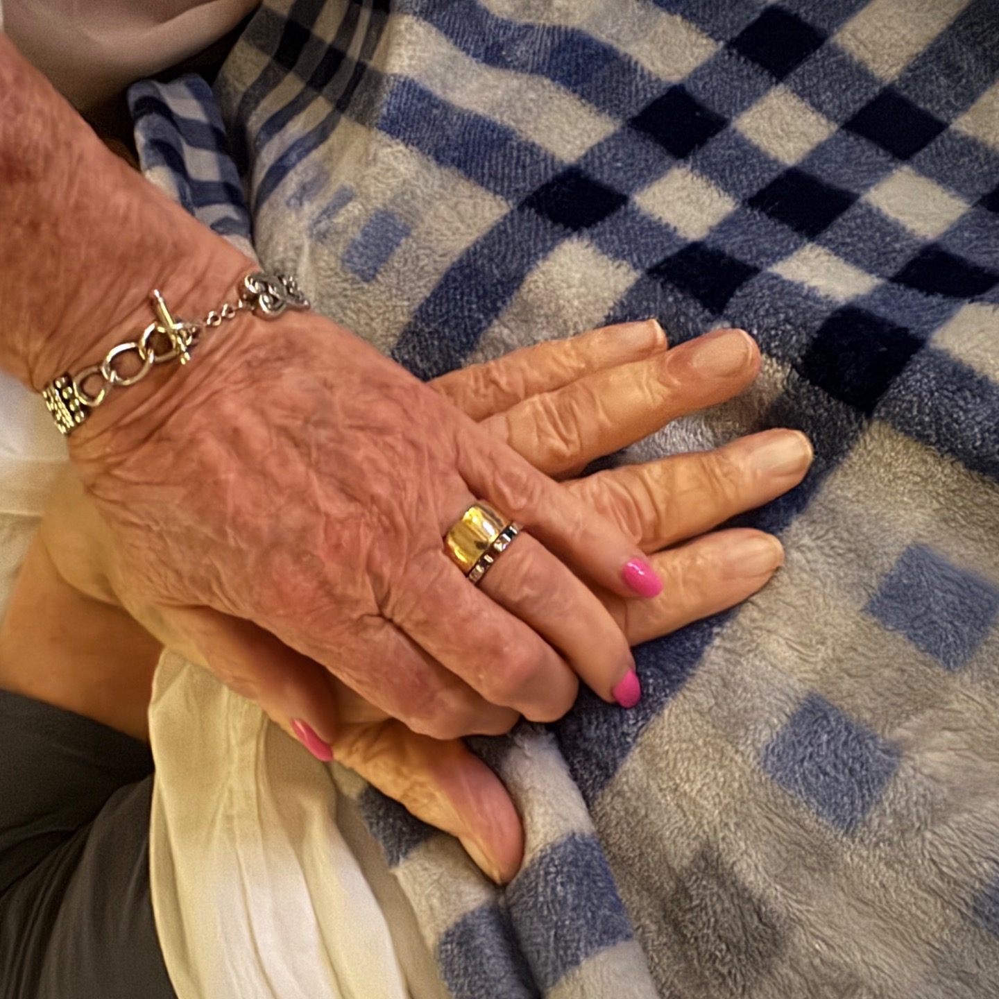 Meal Train in memory of Homer - Give InKind