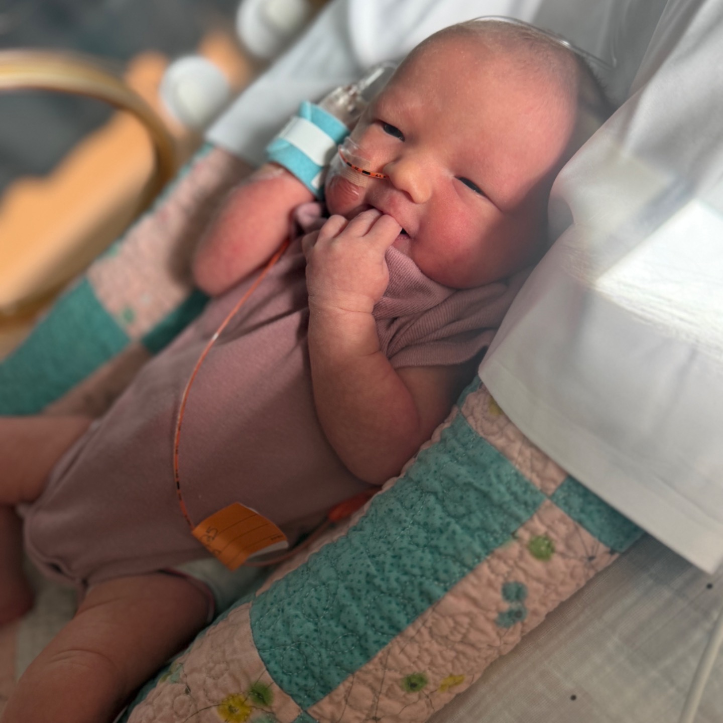 Welcome baby Faith Elise Wilkie! Sanctuary of Easley supports the ...